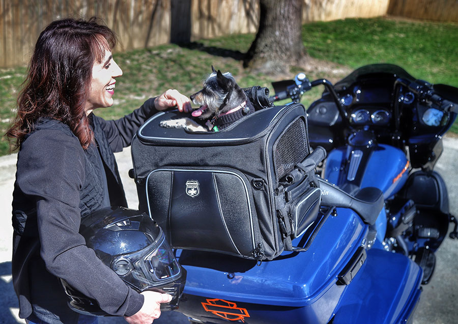 Rover Pet Carrier | Cruiser / Touring