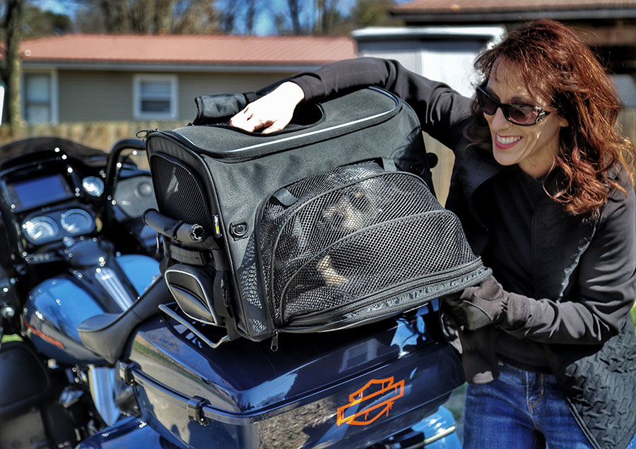 Rover Pet Carrier | Cruiser / Touring